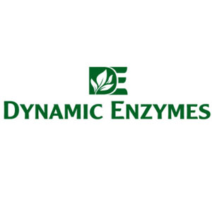 DYNAMIC ENZYMES | The Pharmacy Project